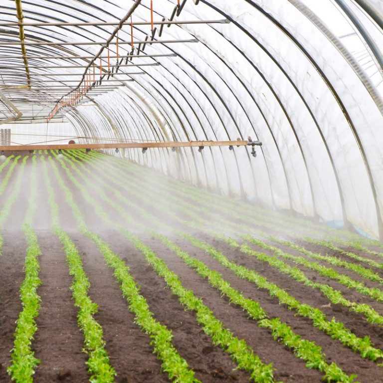 ABSHADE SOLARSHIELD HORTCOVER 2.05M X 10M - All Trade and Shade